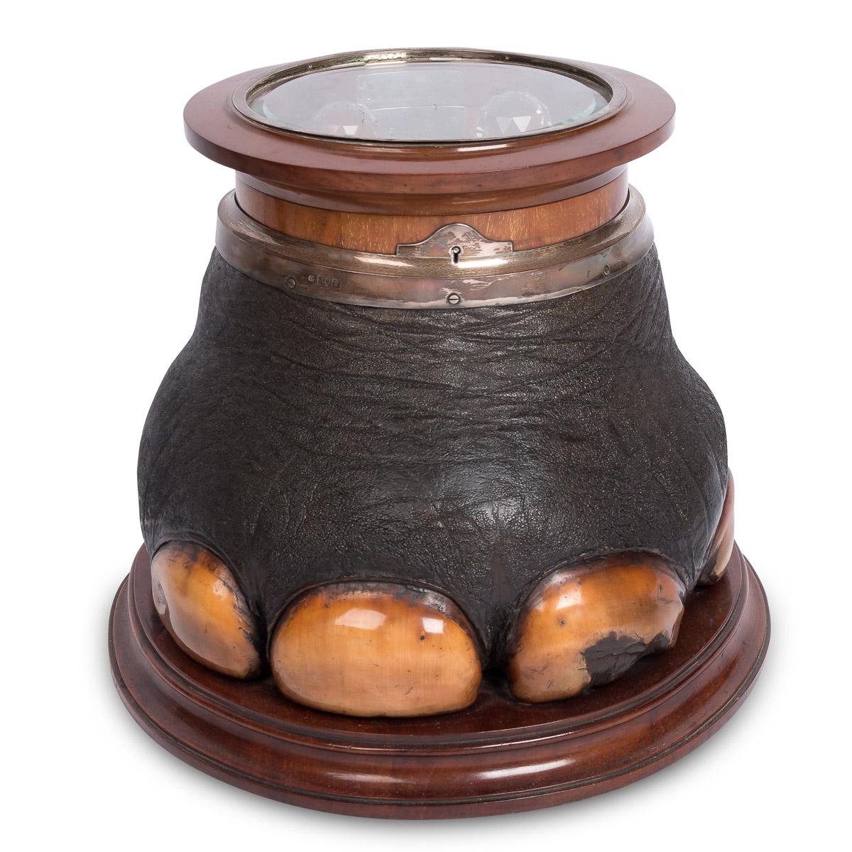 Incredibly Rare 20th Century African Elephant Foot Decanter Box at 1stDibs
