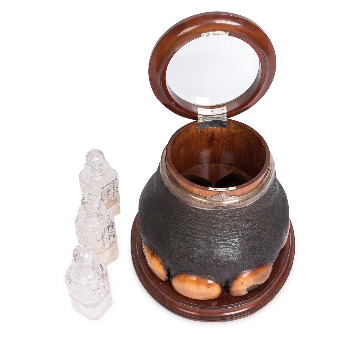 Incredibly Rare 20th Century African Elephant Foot Decanter Box at 1stDibs