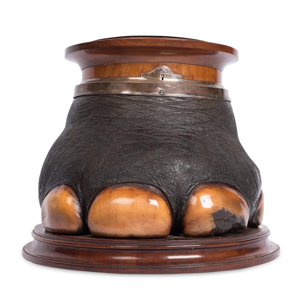 Incredibly Rare 20th Century African Elephant Foot Decanter Box at 1stDibs
