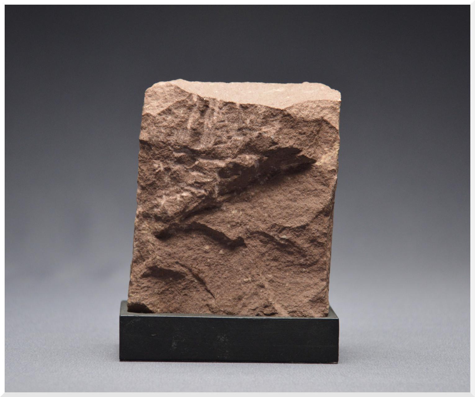 India, Medieval Period, 9th-11th Century, Busts of Shiva and Parvati ...