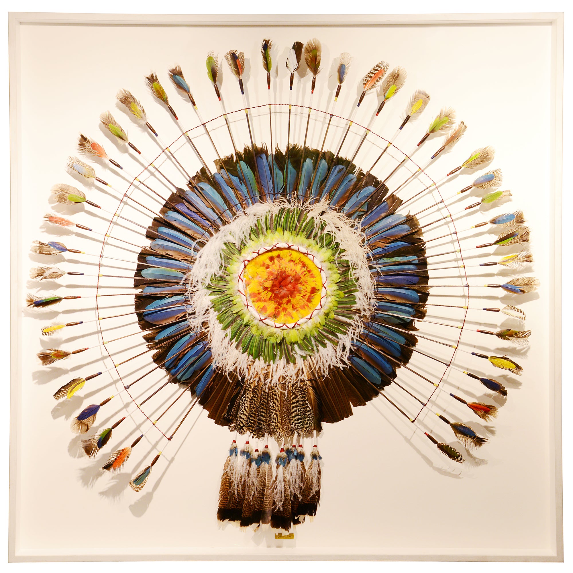 Kayapo 1 Headdress with Natural Feathers at 1stDibs