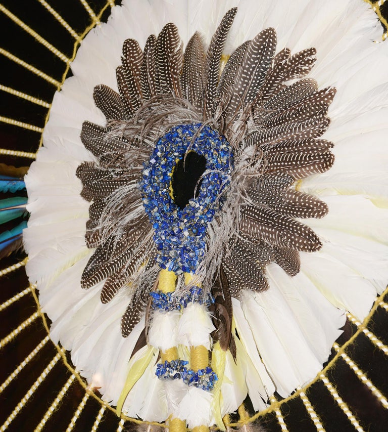 Indian Tribe Kayapo Headdress at 1stDibs