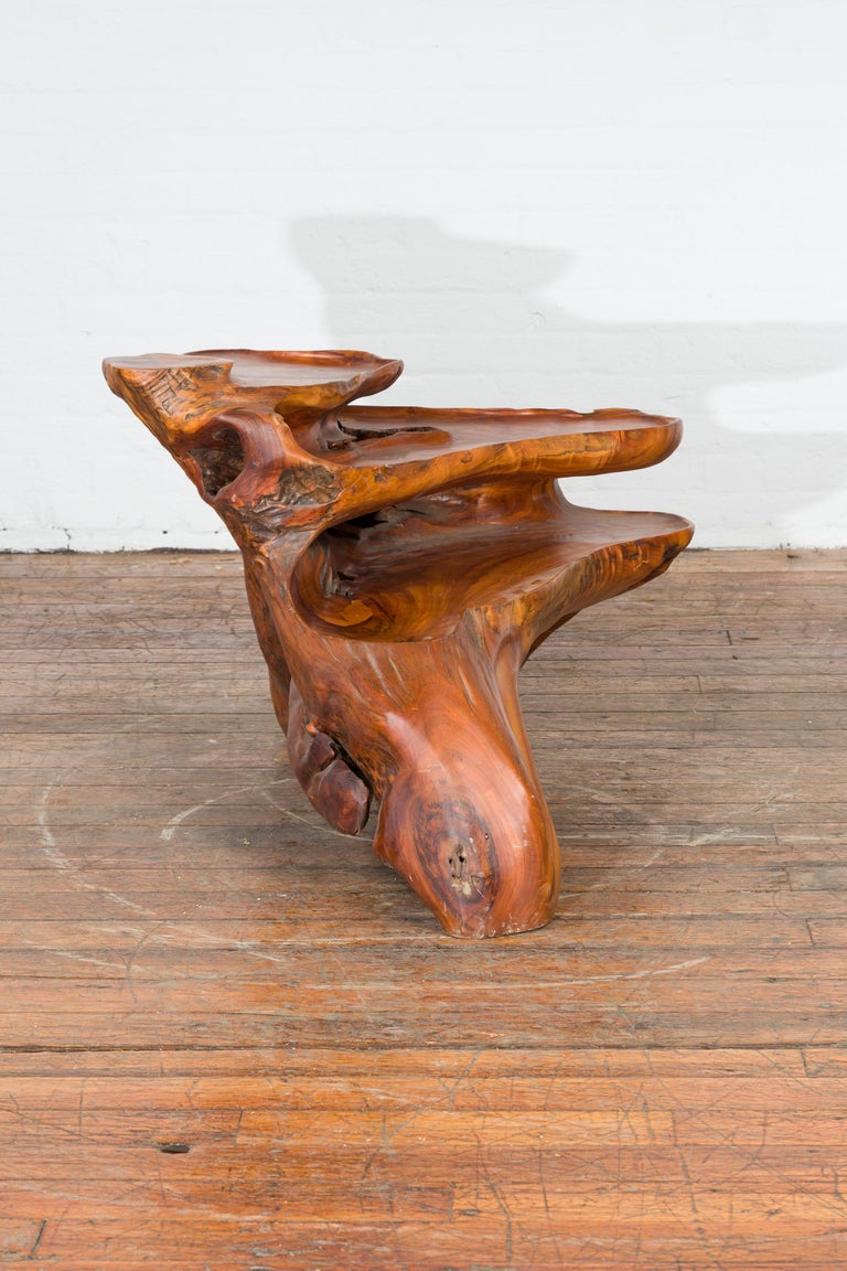 Indonesian 20th Century Lacquered Root Stand Drilled to Work as a ...