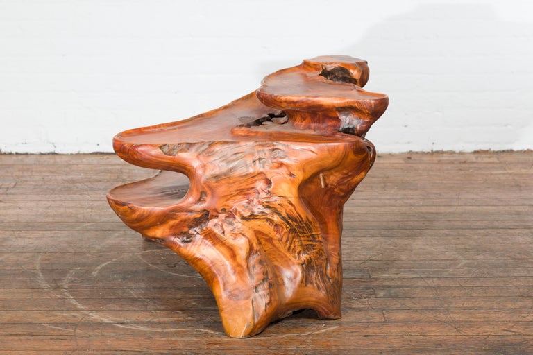 Indonesian 20th Century Lacquered Root Stand Drilled to Work as a ...