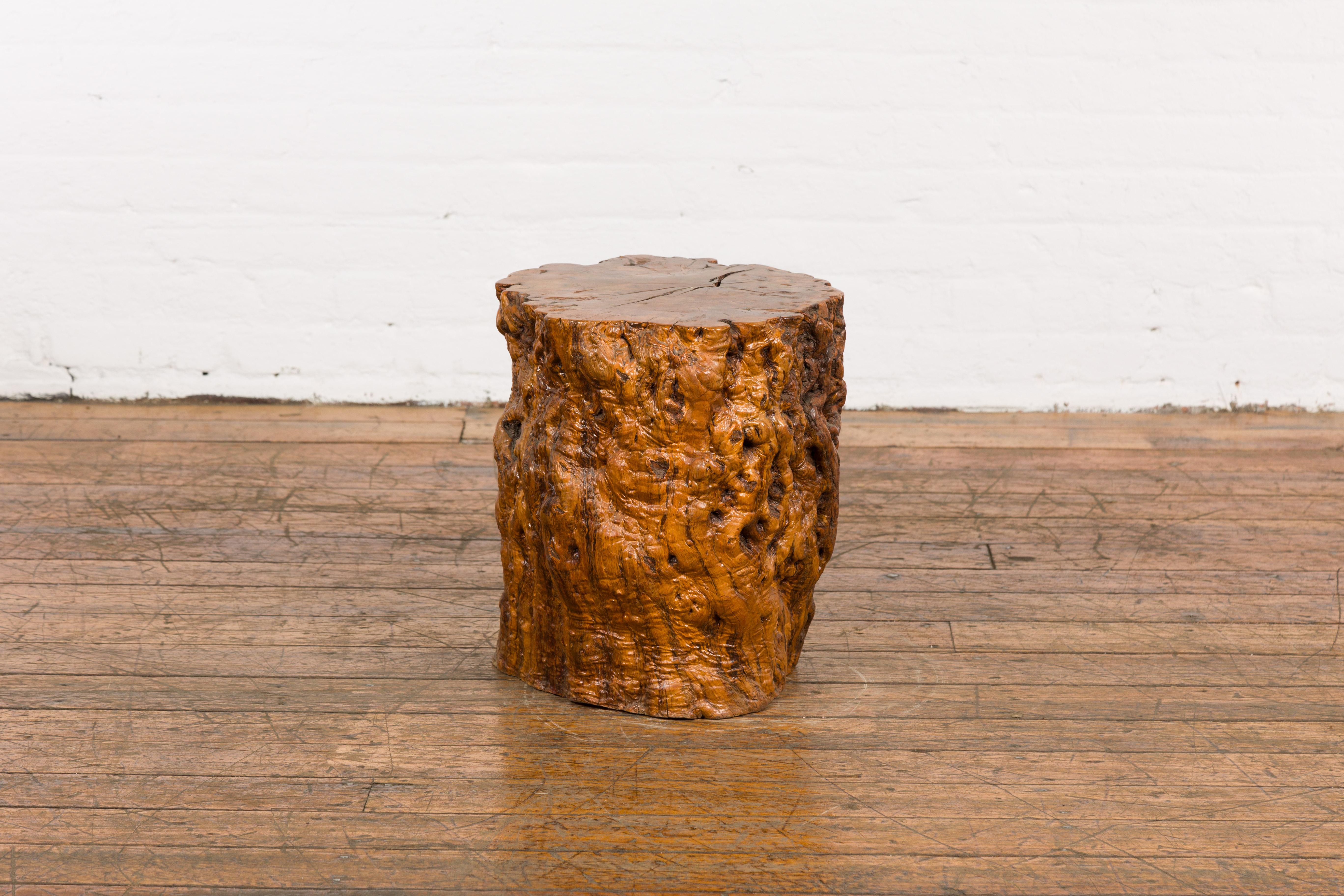 Indonesian Natural Edge Root Drinks Table or Stool with Rustic ...