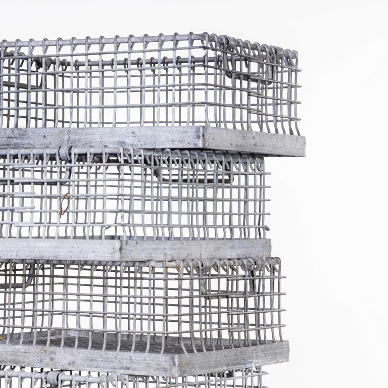 Industrial Heavy Weight Washing Wire Trays For Sale at 1stDibs