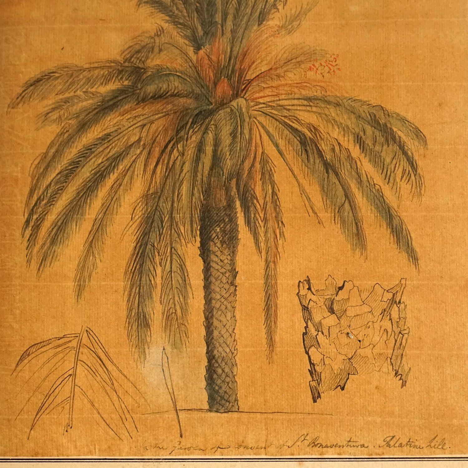 Ink and Watercolour Study of a Palm Tree by John Flaxman RA, 18th ...
