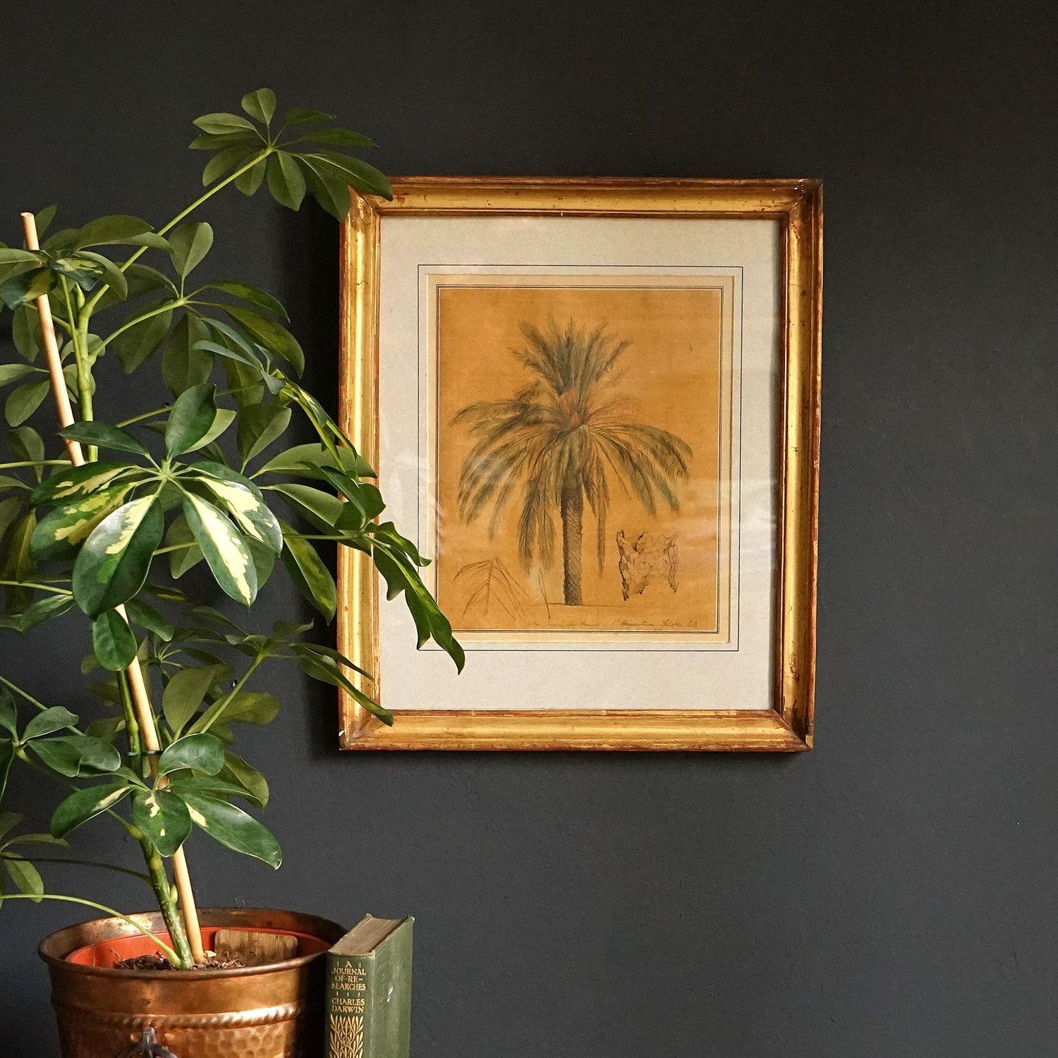 Ink and Watercolour Study of a Palm Tree by John Flaxman RA, 18th ...