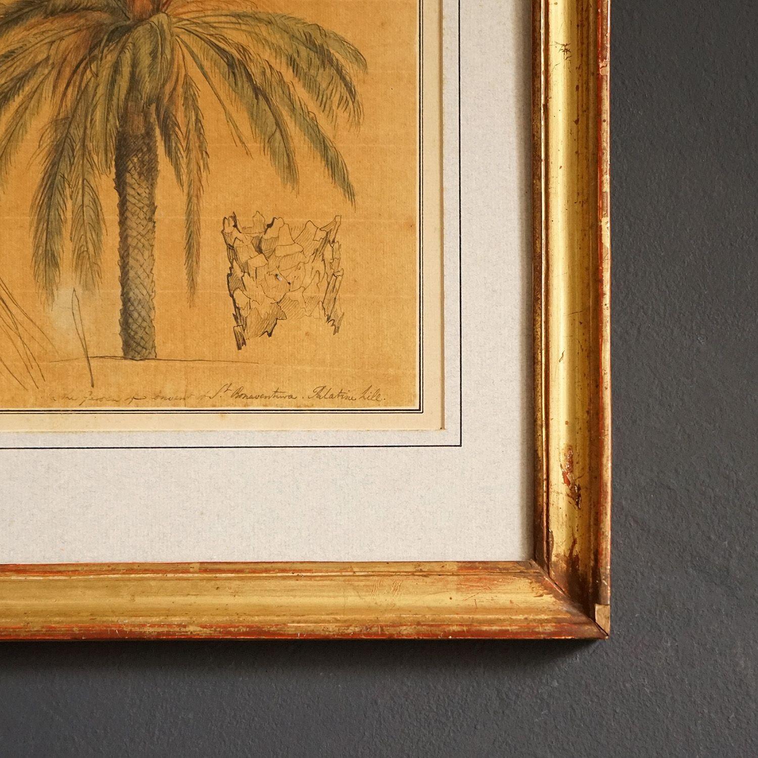 Ink and Watercolour Study of a Palm Tree by John Flaxman RA, 18th ...