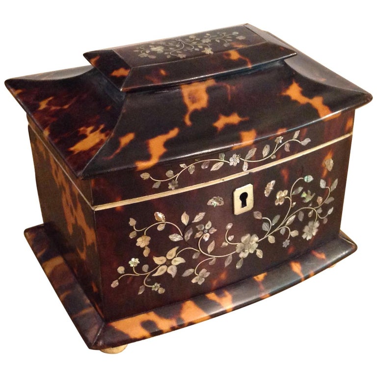 Inlaid Regency Tea Caddy at 1stDibs