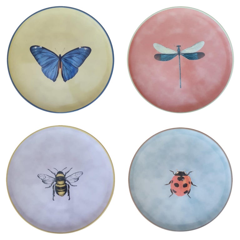 Insect Set of 4 Porcelain Dessert Plates For Sale at 1stDibs