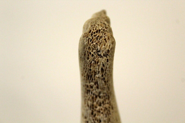 Inuit Antique Whale Bone Sculpture at 1stDibs