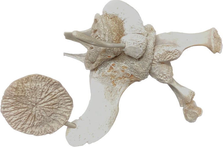 Inuit Fossilized Whale Bone Sculpture #12 For Sale at 1stDibs