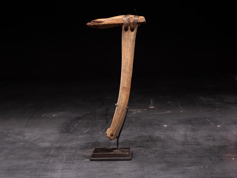 Inuit Toggling Harpoon and Whalebone Adze, Inuit People, Alaska For ...