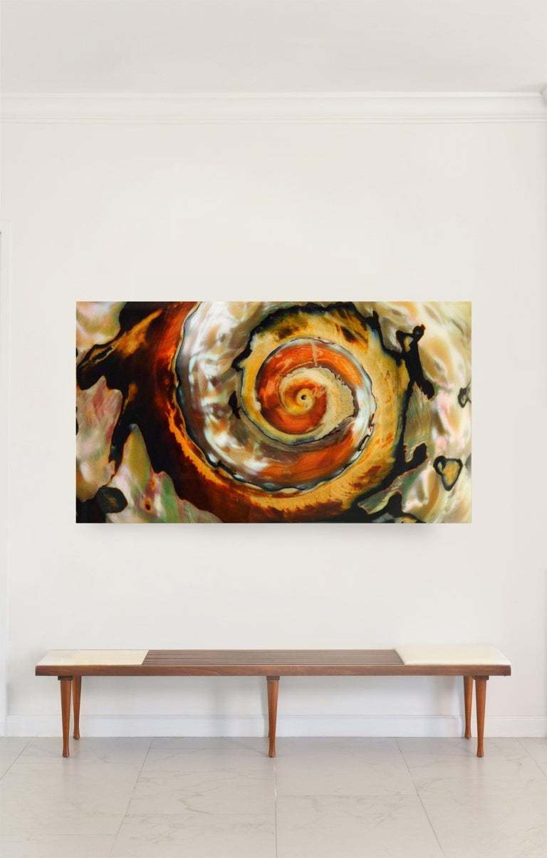 Iran Issa-Khan - Whirlwind. Sea Shelf close up. Large Color Photograph ...