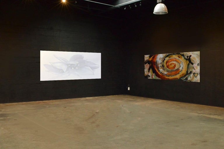 Iran Issa-Khan - Whirlwind. Sea Shelf close up. Large Color Photograph ...