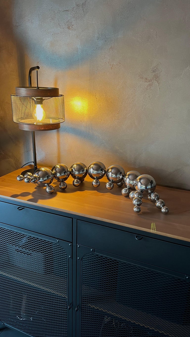 IRENA TONE - Stainless Steel. Сentipede. Minimalistic. Bug Sculpture ...