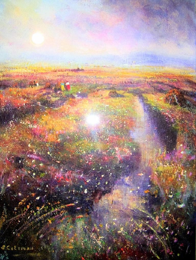 Irish Oil on Canvas of Clifden Bog by Seamus Coleman For Sale at 1stDibs
