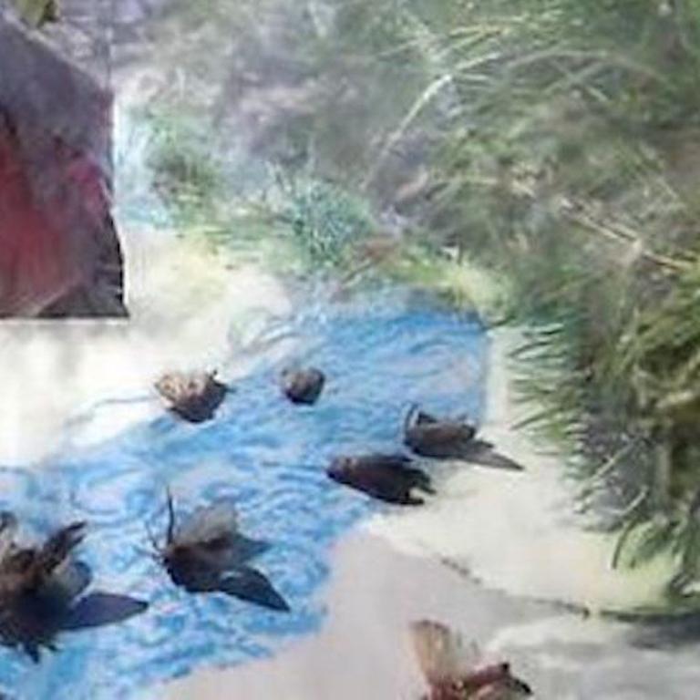 Isabel Pena - Riopolis For Sale at 1stDibs