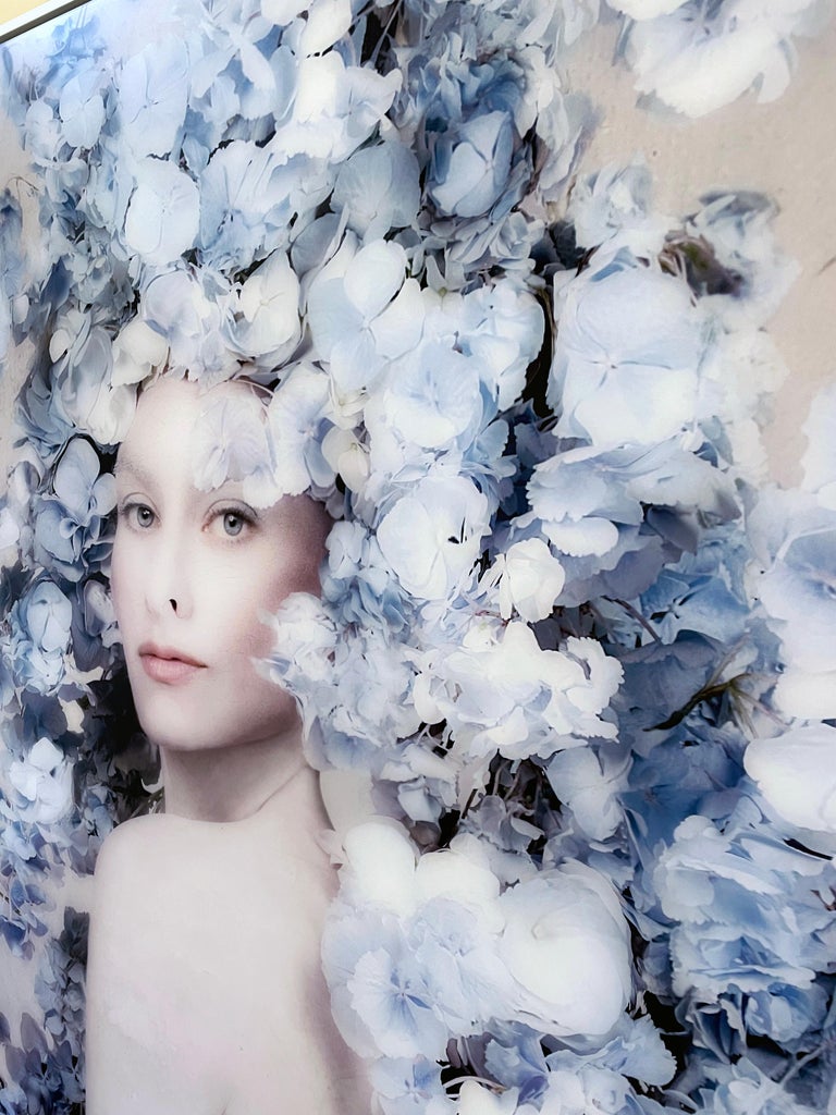 Isabelle Van Zeijl - Hydra Portrait_Isabelle van Zeijl_C-Print ...