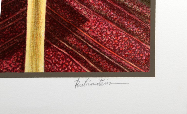 Israel Rubinstein - Observation For Sale at 1stDibs
