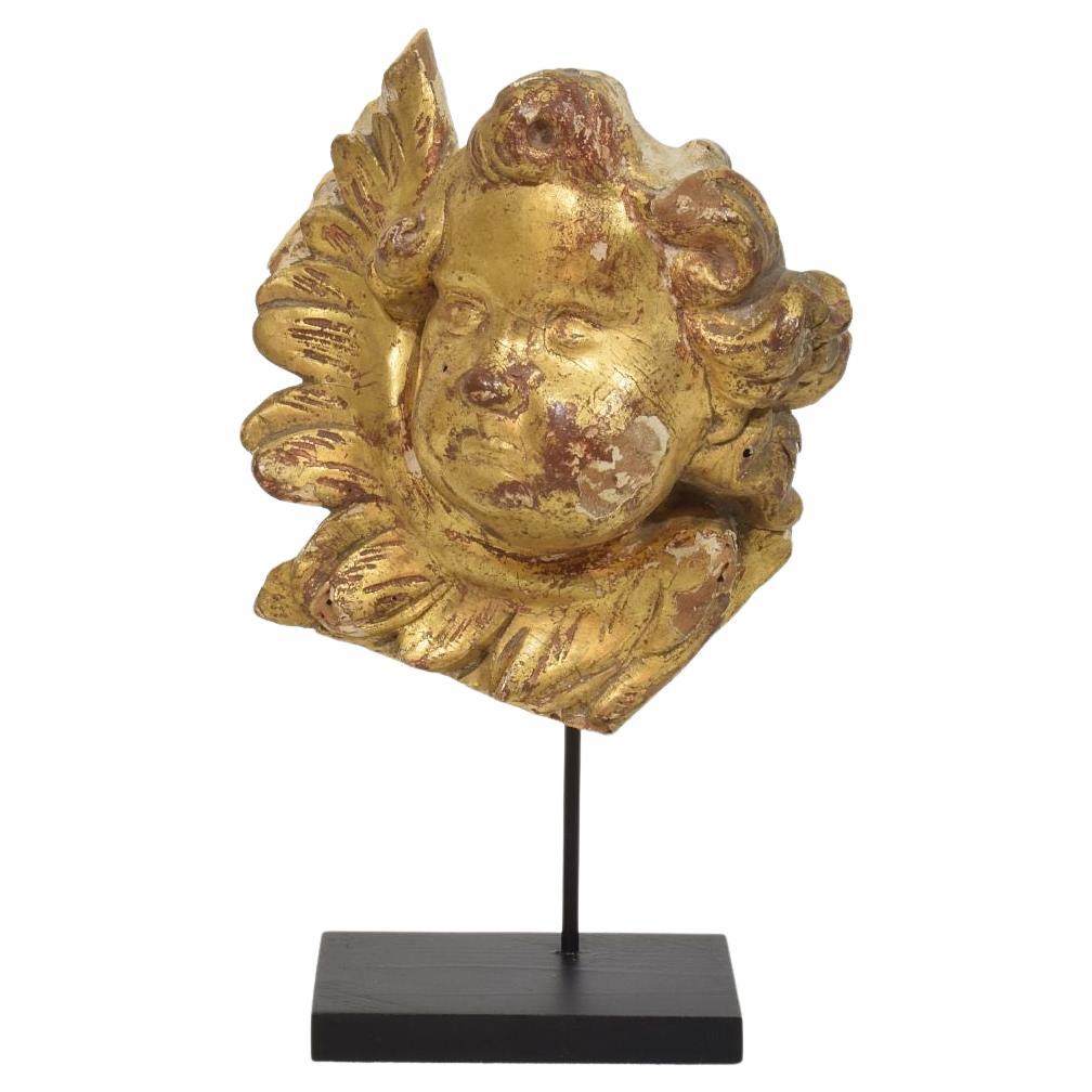 Baroque Marble Angel Heads, Italy, Mid-18th Century For Sale at 1stDibs