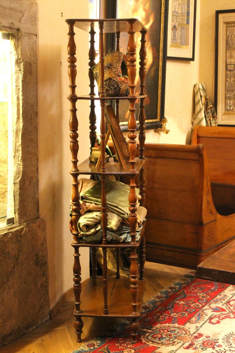 Italian 19th Century Regency Style Rustic Walnut Wood Open Shelves ...
