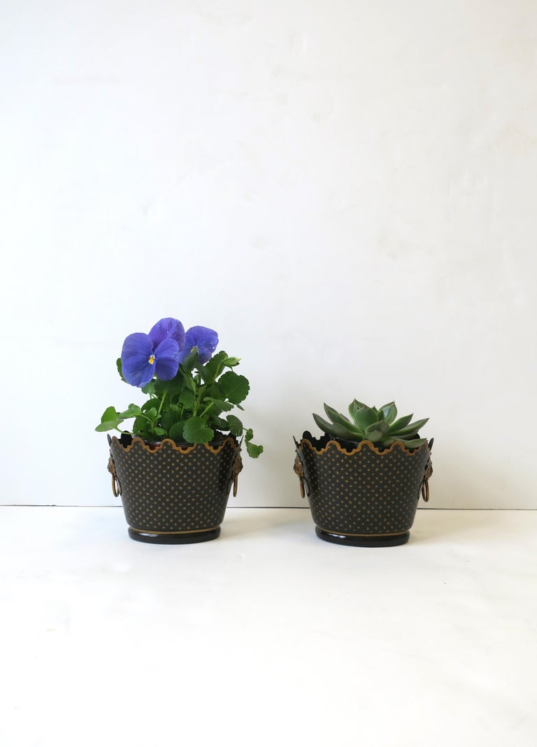 Italian Black and Gold Tole Cachepot Jardiniere Lion Head Planters ...