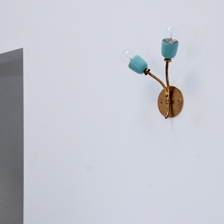 Italian Botanical Sconces at 1stDibs