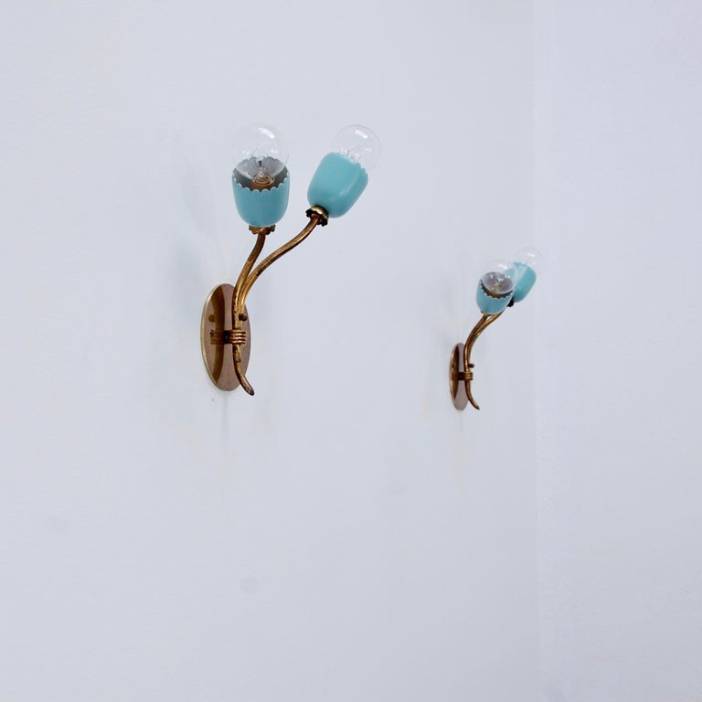 Italian Botanical Sconces at 1stDibs