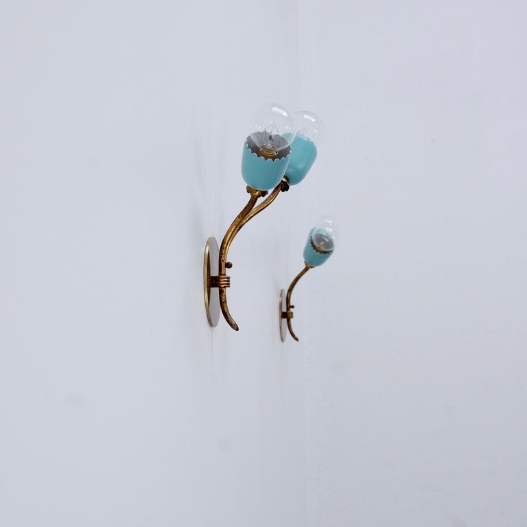 Italian Botanical Sconces at 1stDibs