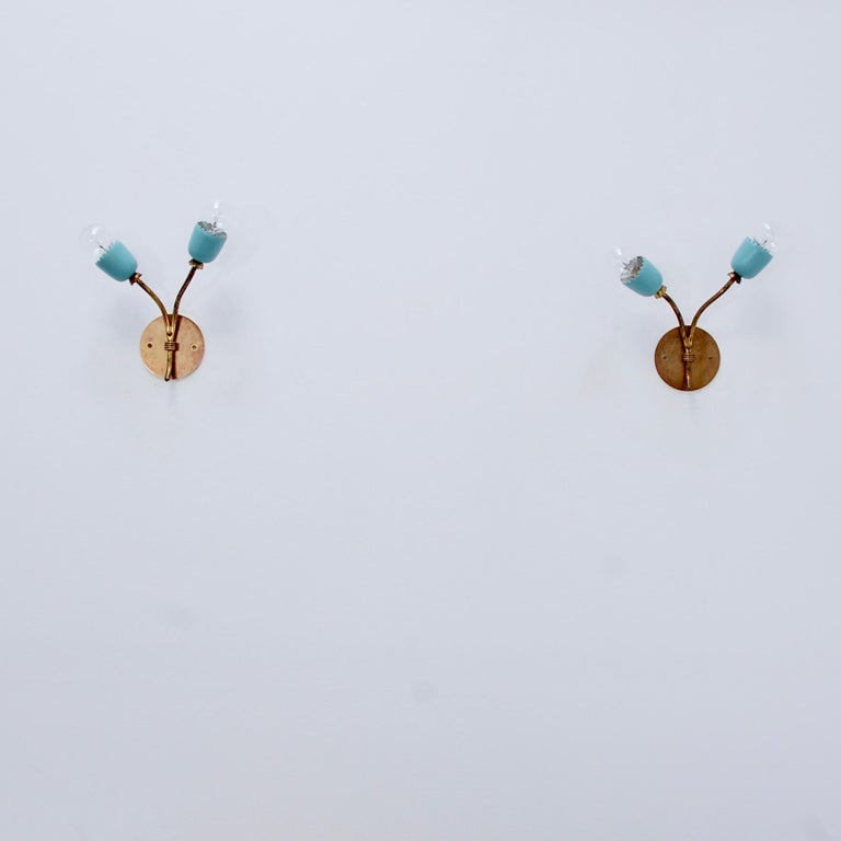 Italian Botanical Sconces at 1stDibs