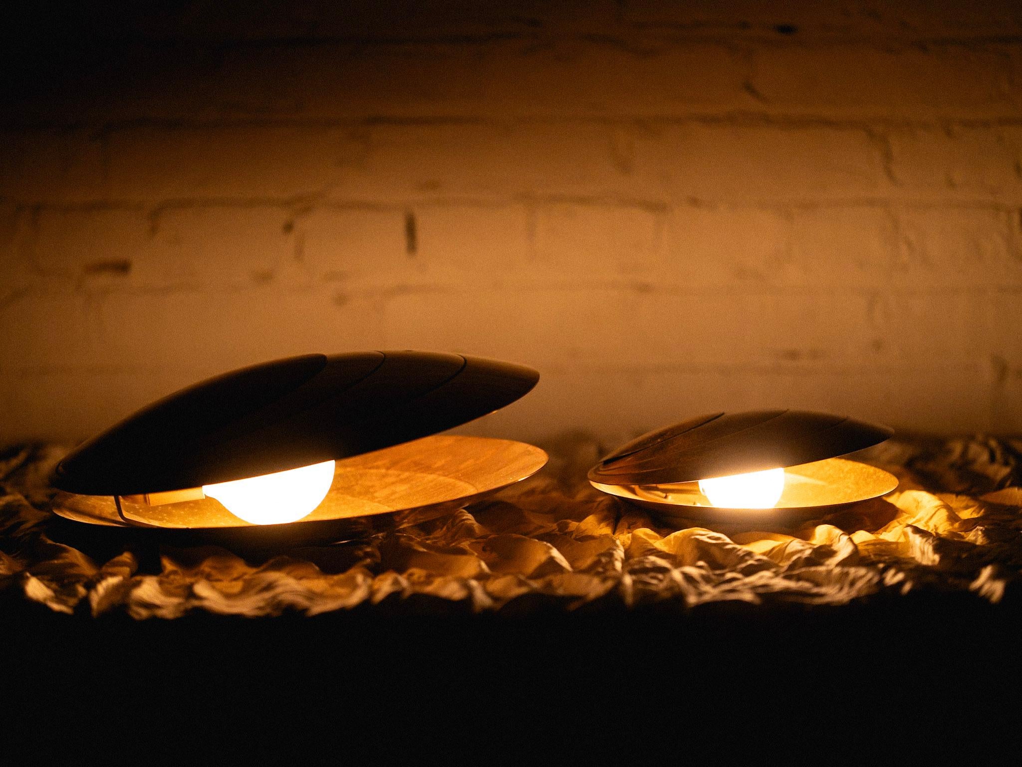 Italian Brass Clamshell Lamps by Angelo Brotto, 1960s - a Set of 2 For ...