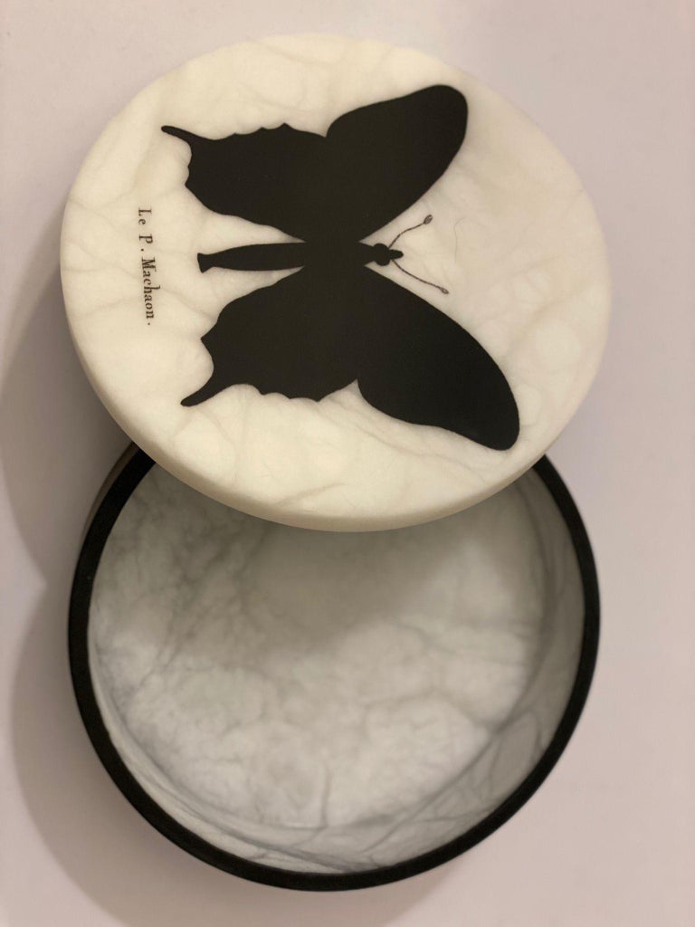 Italian Contemporary "Black and Wild" Butterfly Alabaster Box - 1 of 2 ...