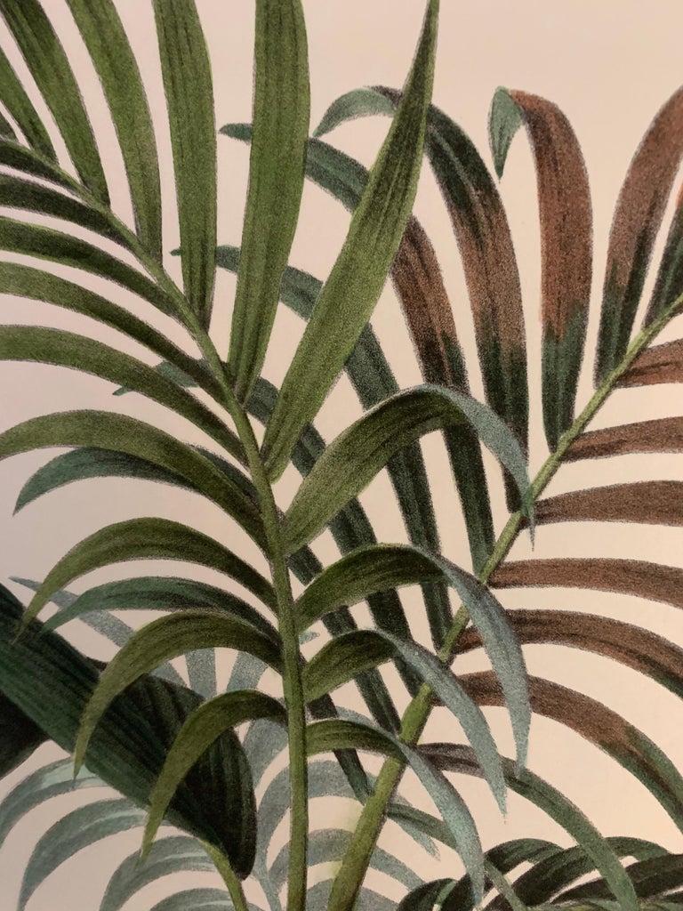 Italian Contemporary Hand Painted Botanical Print '1 of 4' For Sale at ...