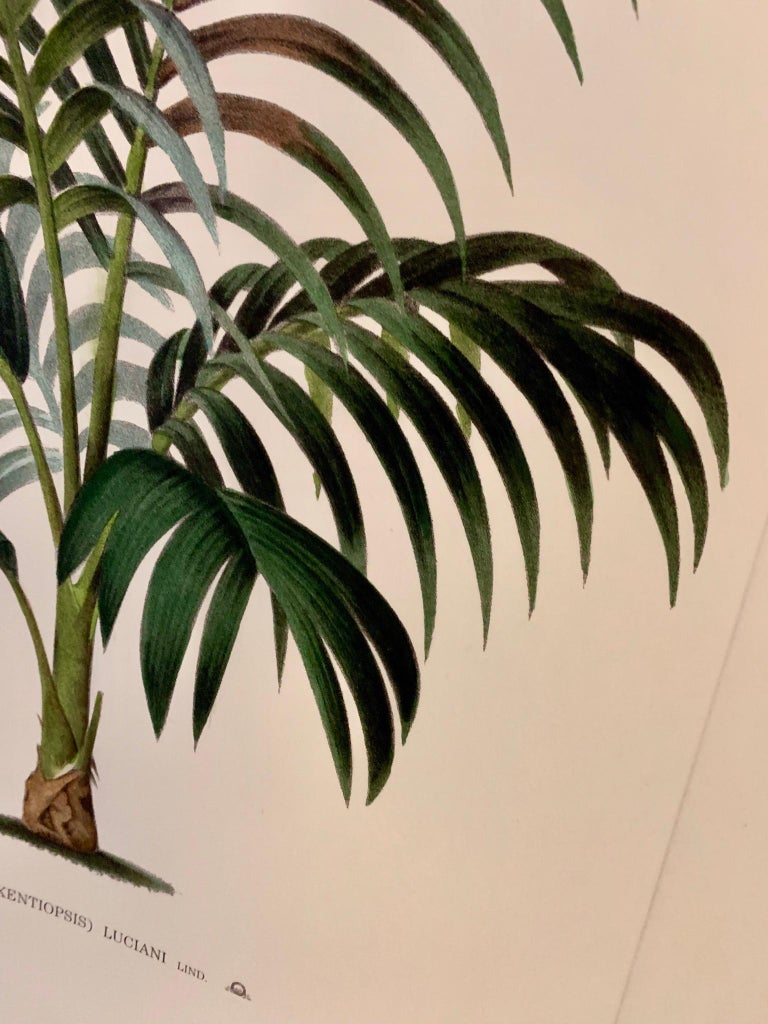 Italian Contemporary Hand Painted Botanical Print '1 of 4' For Sale at ...