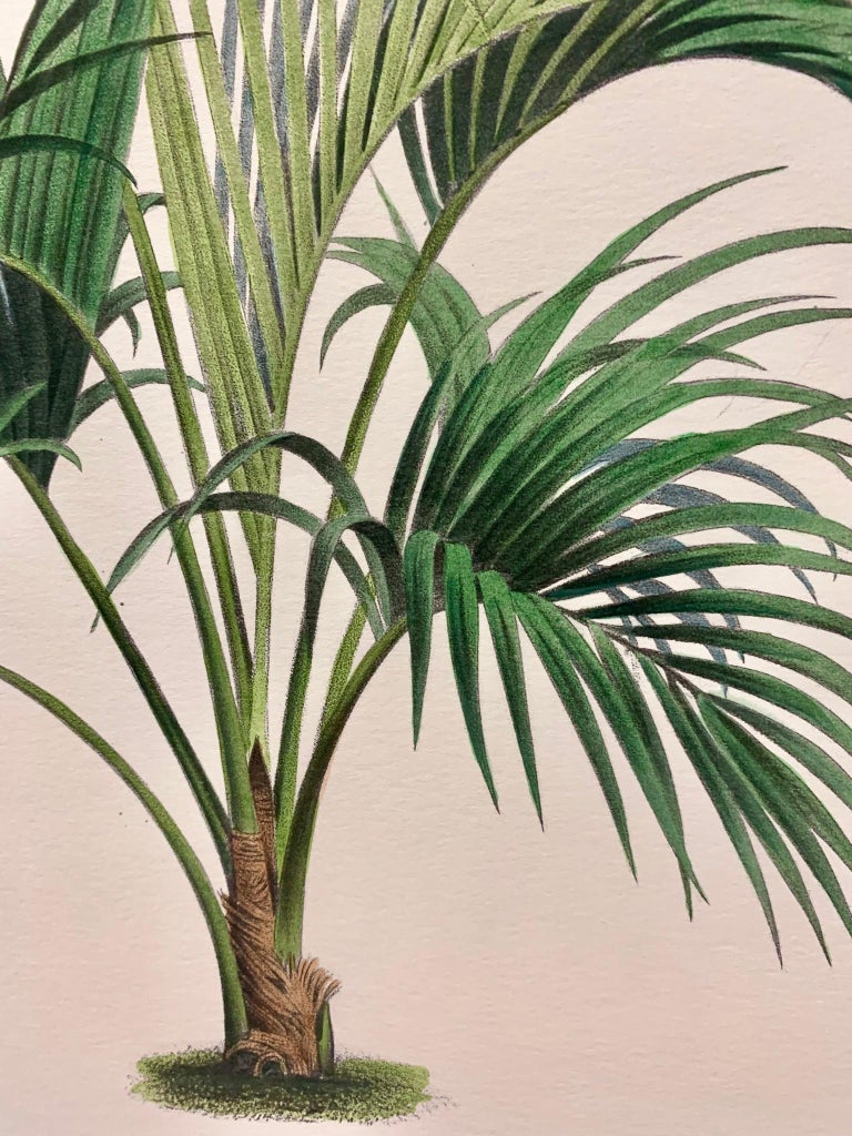 Italian Contemporary Hand Painted Botanical Print '3 of 4' For Sale at ...