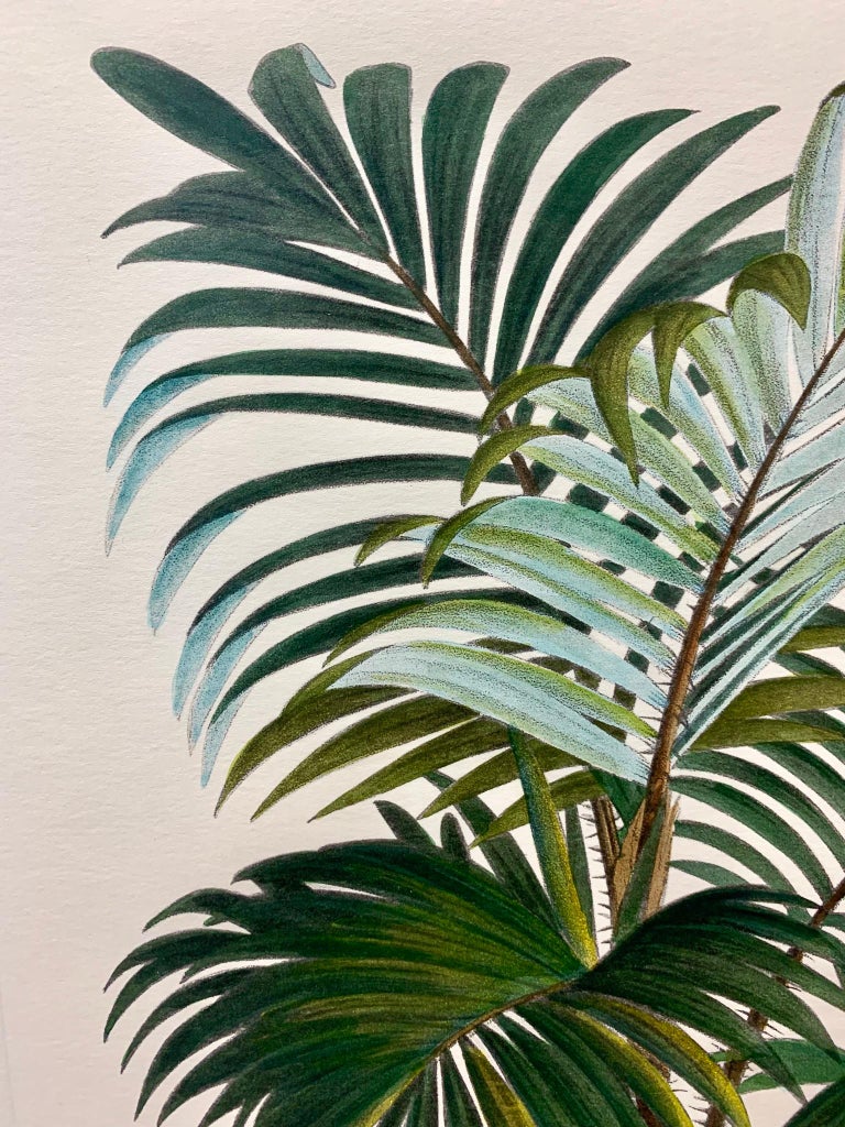 Italian Contemporary Hand Painted Botanical Print '4 of 4' For Sale at ...