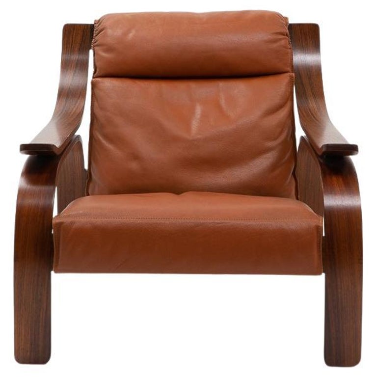 Italian Design Classic Woodline Lounge Chair by Zanuso for Arflex ...