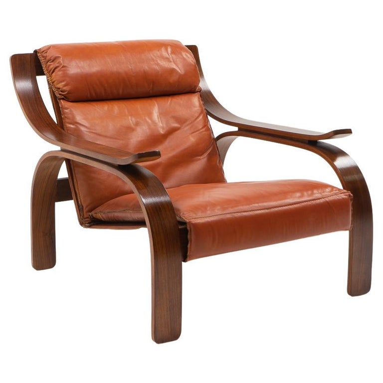 Italian Design Classic Woodline Lounge Chair by Zanuso for Arflex ...