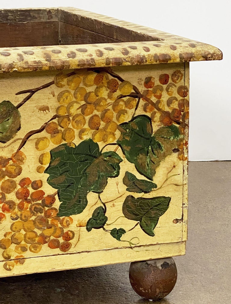 Italian Flower Box or Planter of Painted Wood from the 19th C For Sale ...