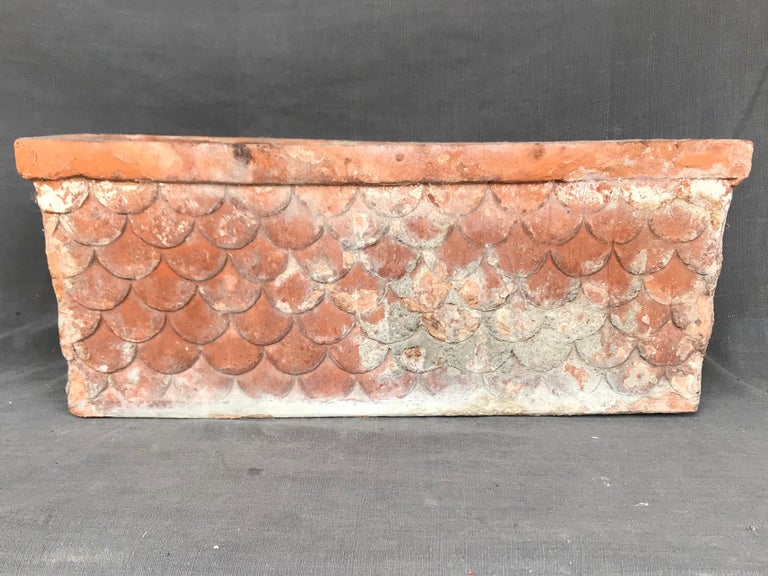 Italian Neoclassical Terracotta Planter at 1stDibs | terracotta ...