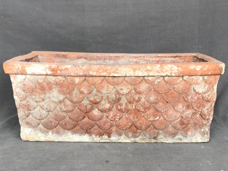 Italian Neoclassical Terracotta Planter at 1stDibs | terracotta ...