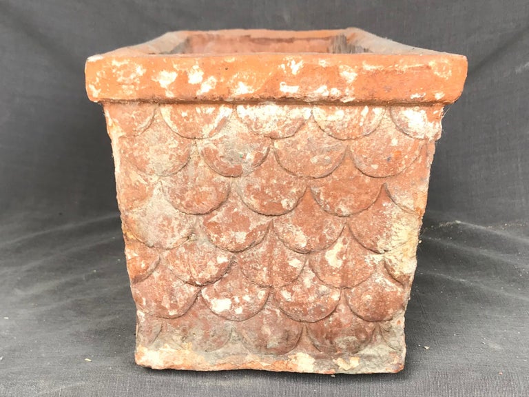 Italian Neoclassical Terracotta Planter at 1stDibs | terracotta ...