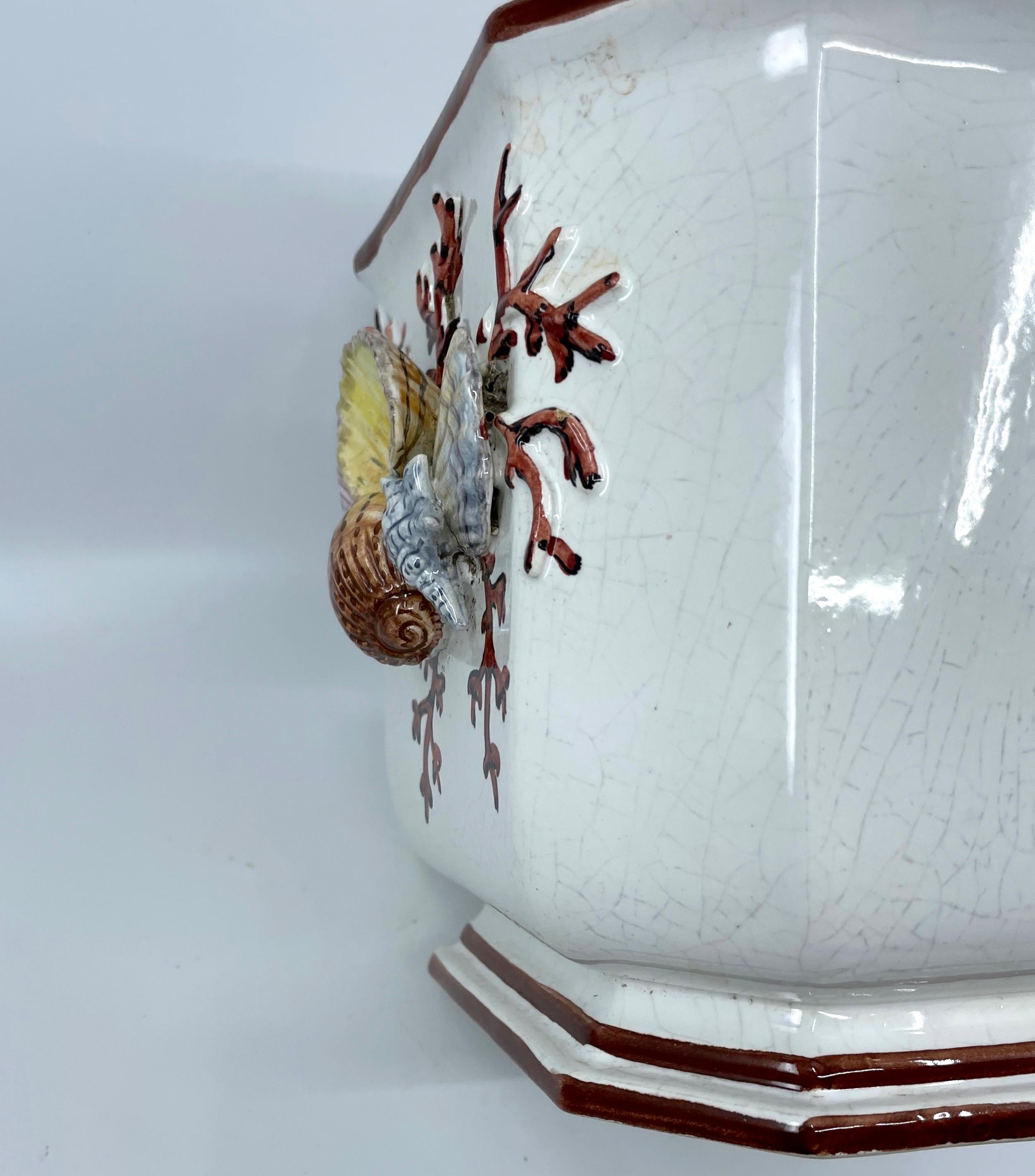 Italian Seashell Cachepot at 1stDibs