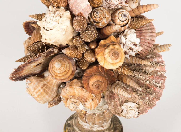 Italian Shell Table Centrepiece at 1stDibs