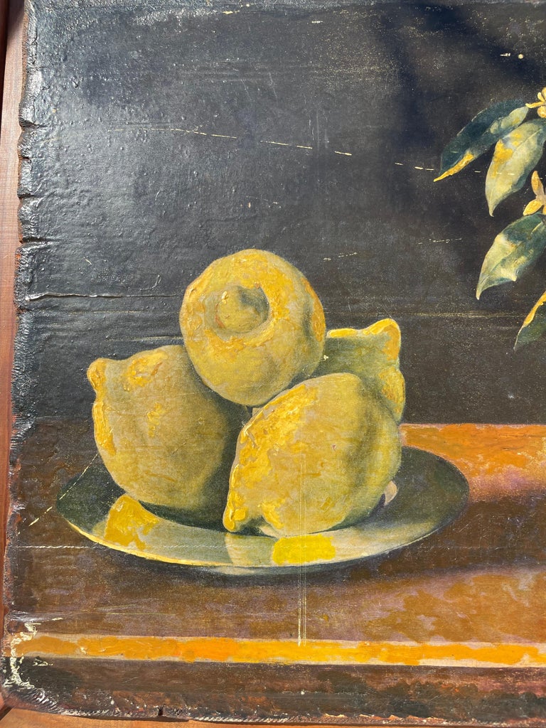 Italian Still Life "Citrus" Oil on Wooden Panel For Sale at 1stDibs