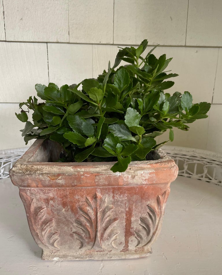 Italian Terracotta Planter For Sale at 1stDibs