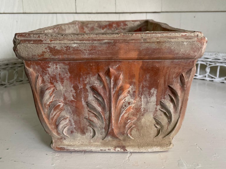 Italian Terracotta Planter For Sale at 1stDibs