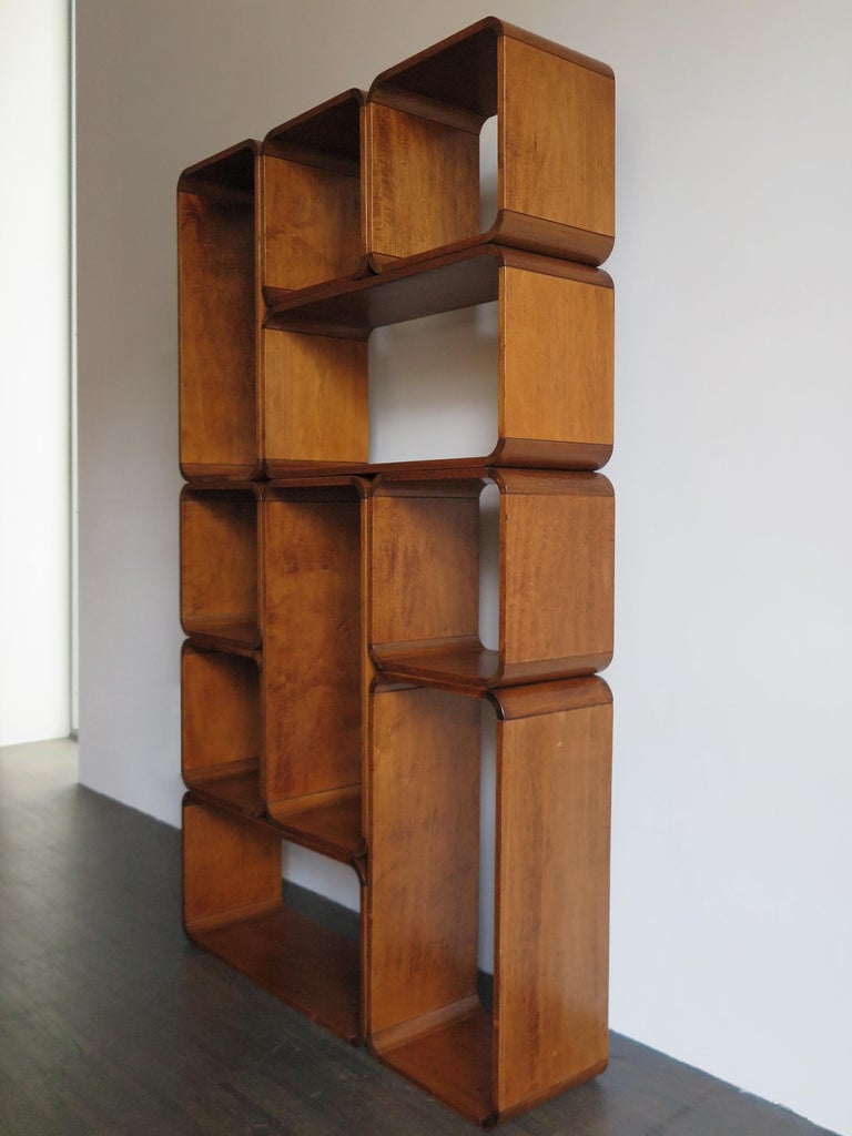 Italian Walnut Mid-Century Bookcase Modular Modules, 1950s at 1stDibs